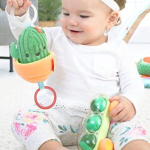 Skip Hop Baby Stroller Toy, Farmstand Grow & Play Jitter, Cactus