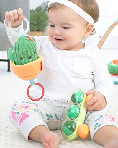 Skip Hop Baby Stroller Toy, Farmstand Grow & Play Jitter, Cactus