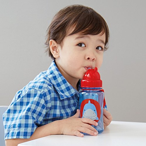 Skip Hop Straw Cup, Toddler Transition Sippy Cup, Shark