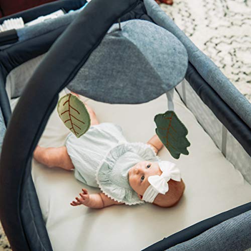 Chicco Lullaby Primo Organic Playard- Lakeshore