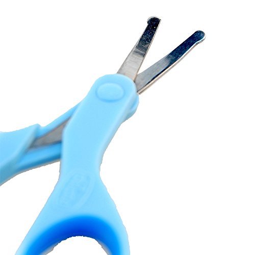 Chicco – Sponge Safety Scissors Blue