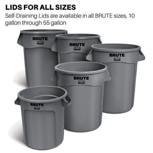 Rubbermaid Commercial Products BRUTE Heavy-Duty Round Trash/Garbage Lid, Gray, Compatible with the 44-Gallon Rubbermaid BRUTE Trash Can