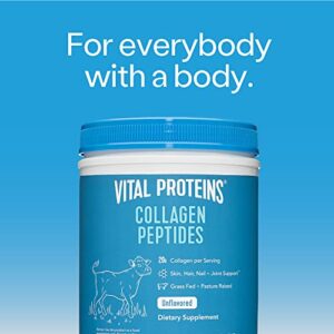 Vital Proteins Collagen Peptides Powder, Promotes Hair, Nail, Skin, Bone and Joint Health, Unflavored 19.3 OZ