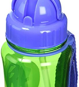 Skip Hop Toddler Sippy Cup with Straw, Zoo Straw Bottle, Dinosaur