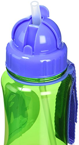 Skip Hop Toddler Sippy Cup with Straw, Zoo Straw Bottle, Dinosaur