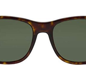 Tom Ford FT 0595 Eric Sunglasses 52N Dark Havana/Green Lens 55MM