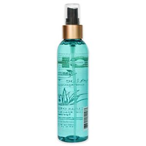 CHI Aloe Vera Curl Reactivating Spray, 95% Natural, Sulfate, Paraben and Gluten Free, 6 Fl Oz