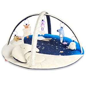 Skip Hop Baby Play Gym, Celestial Dreams, Grey