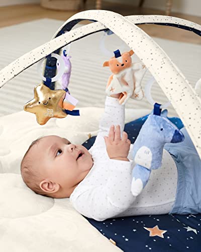 Skip Hop Baby Play Gym, Celestial Dreams, Grey