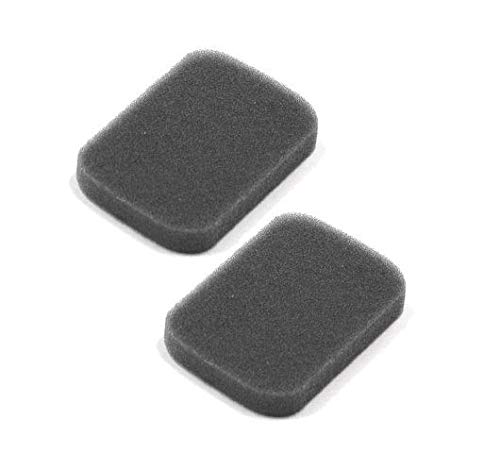 Devilbiss Healthcare - Air Inlet Filter (2 Pk) Gray for CPAP