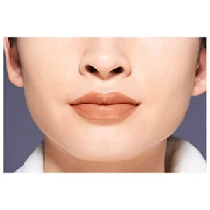 Shiseido VisionAiry Gel Lipstick, Cyber Beige 201 - Long-Lasting, Full Coverage Formula - Triple Gel Technology for High-Impact, Weightless Color