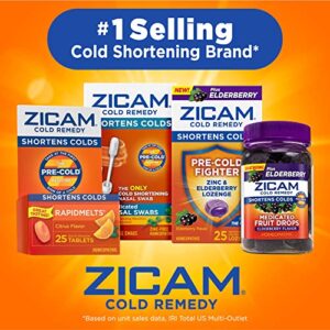 Zicam Cold Remedy Nasal Swabs with Cooling Menthol & Eucalyptus, 20 Count (Pack of 1)