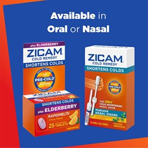 Zicam Cold Remedy Nasal Swabs with Cooling Menthol & Eucalyptus, 20 Count (Pack of 1)