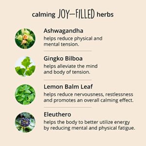 Joy-Filled Mood Support Supplement with St Johns Wort | Helps Calm The Mind & Body, Stress Relief Energy Supplements | 100% Plant-Based | Ashwagandha, Rhodiola, Eleuthero | Herbal Adaptogens, 60 ct