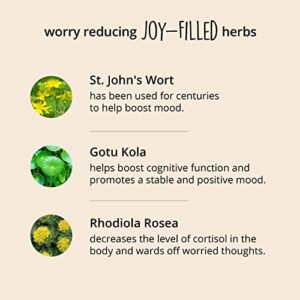 Joy-Filled Mood Support Supplement with St Johns Wort | Helps Calm The Mind & Body, Stress Relief Energy Supplements | 100% Plant-Based | Ashwagandha, Rhodiola, Eleuthero | Herbal Adaptogens, 60 ct