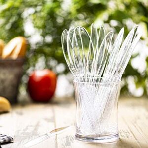 Comfy Package [300 Pack] Heavyweight Disposable Clear Plastic Knives