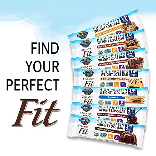 High Protein Bars for Weight Loss - Garden of Life Organic Fit Bar - Peanut Butter Chocolate (12 per carton) - Burn Fat, Satisfy Hunger and Fight Cravings, Low Sugar Plant Protein Bar with Fiber