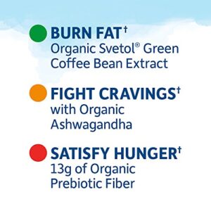 High Protein Bars for Weight Loss - Garden of Life Organic Fit Bar - Peanut Butter Chocolate (12 per carton) - Burn Fat, Satisfy Hunger and Fight Cravings, Low Sugar Plant Protein Bar with Fiber