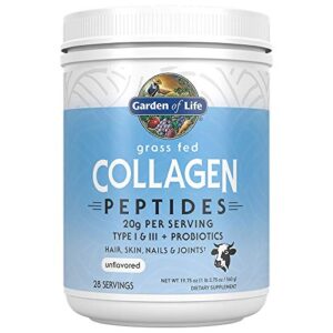 garden of life grass fed collagen peptides powder – unflavored collagen powder for women men hair skin nails joints, hydrolyzed collagen protein supplements, post workout, paleo & keto, 28 servings