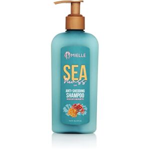 mielle organics sea moss anti-shedding shampoo