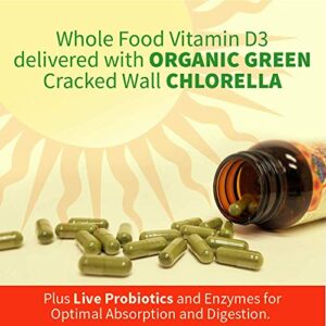 Garden of Life Vitamin D, Vitamin Code Raw D3, Vitamin D 2,000 IU, Raw Whole Food Vitamin D Supplements with Chlorella, Fruit, Veggies & Probiotics for Bone & Immune Health, 120 Vegetarian Capsules