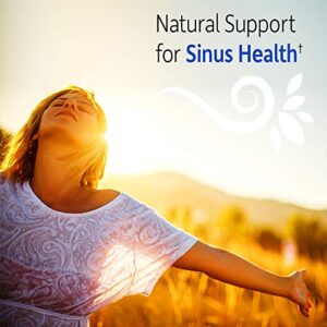 Garden of Life Sinus Care for Adults, Herbal Immune Balance Sinus Natural Support for Sinus Health, 100 mg Butterbur, Bromelain, Vitamin C, D3, Probiotics, Sinus Relief Supplements, 60 Capsules