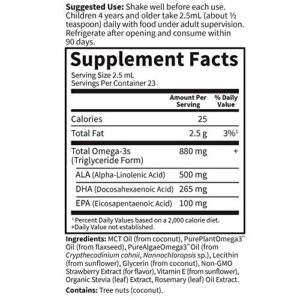 Garden of Life Plant Omega-3 Ala, Dha & Epa Supplement for Children -Liquid, Strawberry - Vegan Brain & Eye Support for Kids, Sugar Free & Non-GMO - 2 Fl Oz