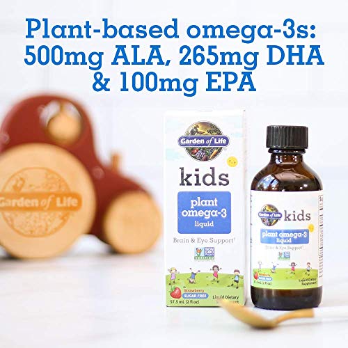 Garden of Life Plant Omega-3 Ala, Dha & Epa Supplement for Children -Liquid, Strawberry - Vegan Brain & Eye Support for Kids, Sugar Free & Non-GMO - 2 Fl Oz