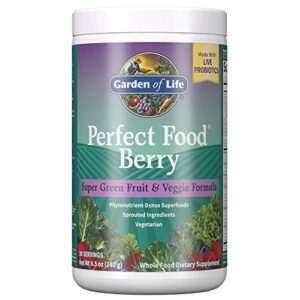 garden of life perfect food berry super green fruit & veggie formula – 30 servings, 49 superfoods greens, sprouts, fruits, veggies, probiotics, spirulina, vegetarian juice superfood powder supplement