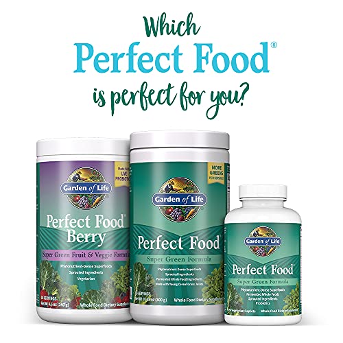 Garden of Life Perfect Food Berry Super Green Fruit & Veggie Formula - 30 Servings, 49 Superfoods Greens, Sprouts, Fruits, Veggies, Probiotics, Spirulina, Vegetarian Juice Superfood Powder Supplement