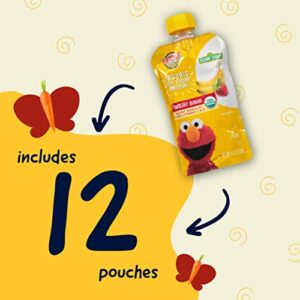 Earth's Best Organic Kids Snacks, Sesame Street Toddler Snacks, Organic Fruit Yogurt Smoothie for Toddlers 2 Years and Older, Strawberry Banana, 4.2 oz Resealable Pouch (Pack of 12)