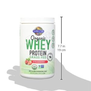 Garden of Life Whey Protein Powder Strawberry - 21g Certified Organic Grass Fed Protein for Women & Men + Probiotics - 12 Servings - Gluten Free, Non GMO, Kosher, Humane and RBST & rBGH Hormone Free