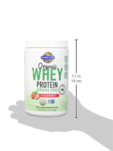 Garden of Life Whey Protein Powder Strawberry - 21g Certified Organic Grass Fed Protein for Women & Men + Probiotics - 12 Servings - Gluten Free, Non GMO, Kosher, Humane and RBST & rBGH Hormone Free