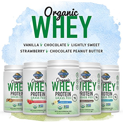 Garden of Life Whey Protein Powder Strawberry - 21g Certified Organic Grass Fed Protein for Women & Men + Probiotics - 12 Servings - Gluten Free, Non GMO, Kosher, Humane and RBST & rBGH Hormone Free