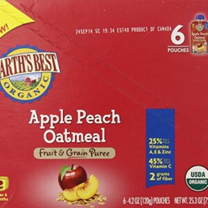 Earth's Best Organic Stage 2, Apple, Peach & Oatmeal, 4.2 Ounce Pouch (Pack of 6)