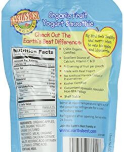 Earth's Best Earth's Best Organic Apple Blueberry Fruit Yogurt Smoothie, 4.2 oz