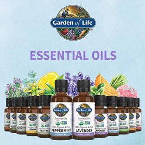 Garden of Life Essential Oil, Lavender 30 ml, USDA Organic & Pure, Clean, Undiluted & Non-GMO - for Diffuser, Aromatherapy, Meditation, Skincare, Sleep - Calming, Relaxing, Soothing, 1 Fl Oz