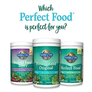 Garden of Life Whole Perfect Green Superfood Vegetable Dietary Powder Supplement, 600 g