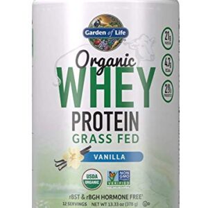 Garden of Life Whey Protein Powder Vanilla Flavor - 21g Certified Organic Grass Fed Protein for Women & Men + Probiotics - 12 Servings - Gluten Free, Non GMO, Kosher, Humane, RBST & rBGH Hormone Free