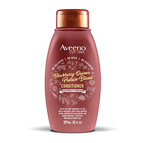 Aveeno Blackberry Quinoa Protein Blend Sulfate-Free Conditioner for Color-Treated Hair Protection, Daily Strengthening & Moisturizing Conditioner, Paraben & Dye-Free, 12 Fl Oz