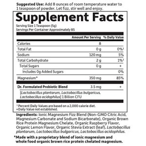 Garden of Life Dr. Formulated Whole Food Magnesium 421.5g Powder, Raspberry Lemon, Chelated Non-GMO Vegan Kosher Gluten & Sugar Free Supplement with Probiotics, Best for Anti-Stress Calm & Regularity