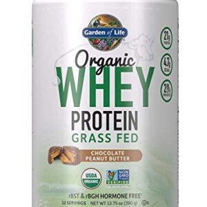 Garden of Life Whey Protein Powder Chocolate Peanut Butter, 21g Certified Organic Grass Fed Protein for Women & Men + Probiotics - 12 Servings - Gluten Free, Kosher, Humane, RBST & rBGH Hormone Free