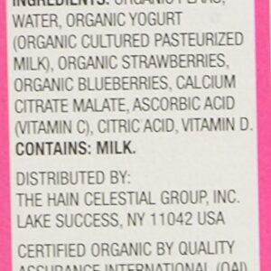 Earth's Best, Organic Fruit Yogurt Smoothie, Mixed Berry (Pack of 6)