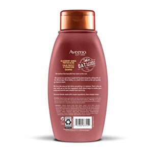 Aveeno Blackberry Quinoa Protein Blend Sulfate-Free Shampoo for Color-Treated Hair Protection, Daily Strengthening & Moisturizing Shampoo, Paraben & Dye-Free, 12 Fl Oz