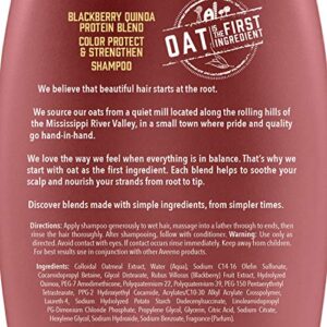 Aveeno Blackberry Quinoa Protein Blend Sulfate-Free Shampoo for Color-Treated Hair Protection, Daily Strengthening & Moisturizing Shampoo, Paraben & Dye-Free, 12 Fl Oz