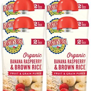 Earth's Best Organic Stage 2, Banana, Raspeberry & Brown Rice, 4.2 Ounce Pouch (Pack of 6)