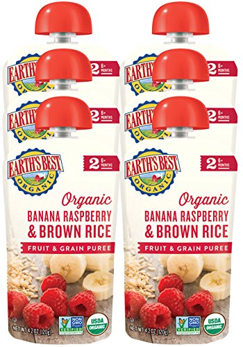 Earth's Best Organic Stage 2, Banana, Raspeberry & Brown Rice, 4.2 Ounce Pouch (Pack of 6)