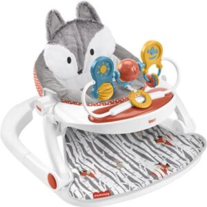 Fisher-Price Portable Baby Chair Premium Sit-Me-Up Floor Seat with Snack Tray and Toy Bar, Plush Seat Pad, Peek-a-Boo Fox