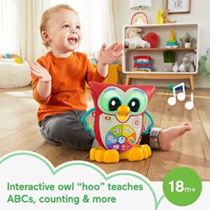 Fisher-Price Linkimals Toddler Learning Toy Light-Up & Learn Owl With Interactive Lights Music & Motion For Ages 18+ Months