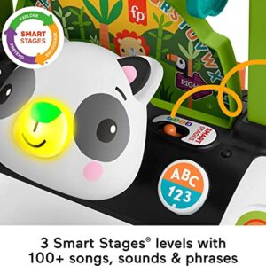 Fisher-Price Baby & Toddler Toy 2-Sided Steady Speed Panda Walker With Smart Stages Learning & Blocks For Ages 6+ Months